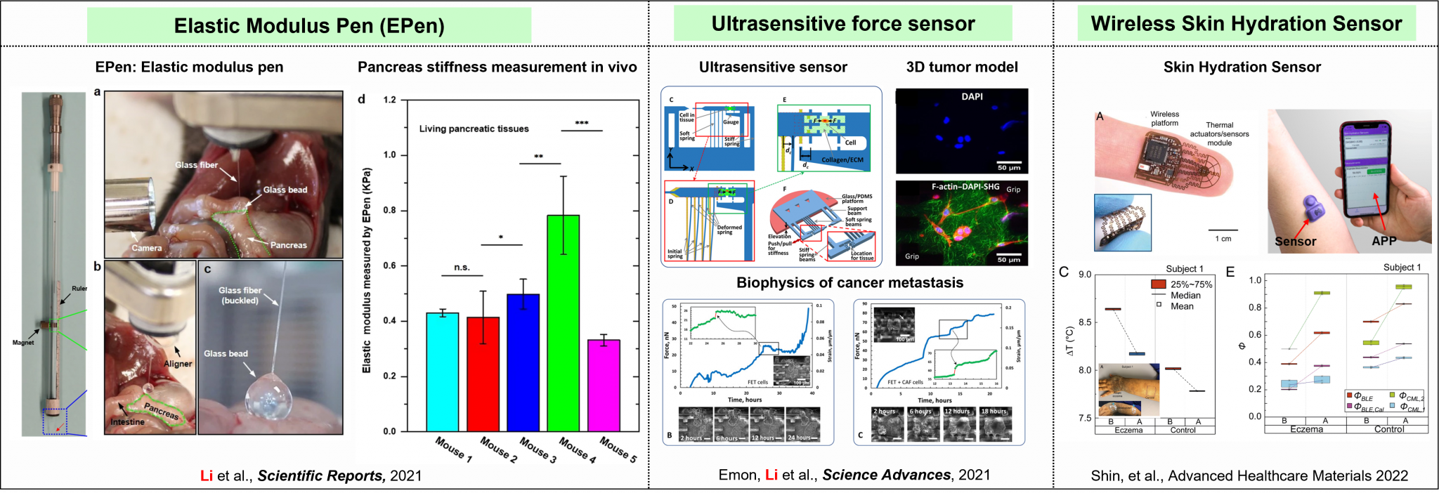 Research – Li Research Group